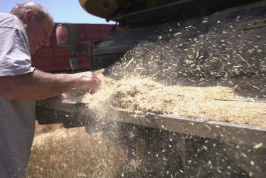 HAW | mikeroweWORKS Foundation